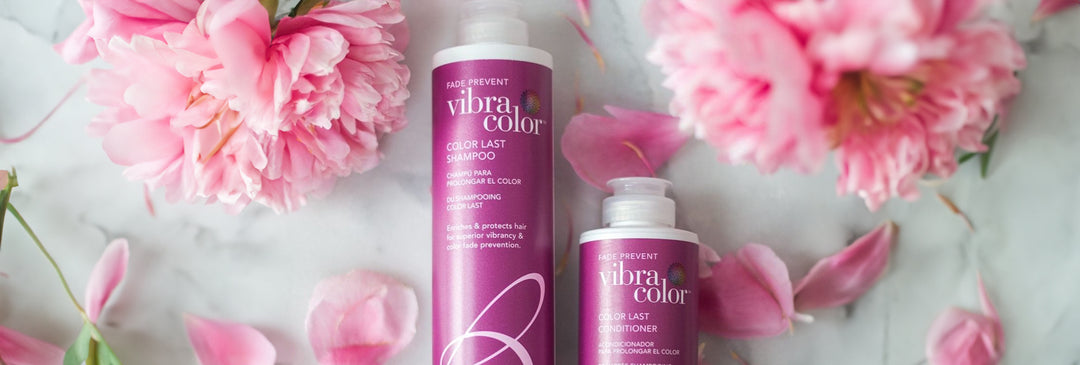 Brocato Saturate Intensive Moisture Hydrating Conditioner – The Style ...